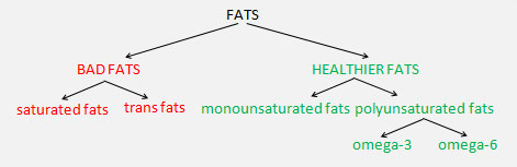 fats - FH Australasia Network